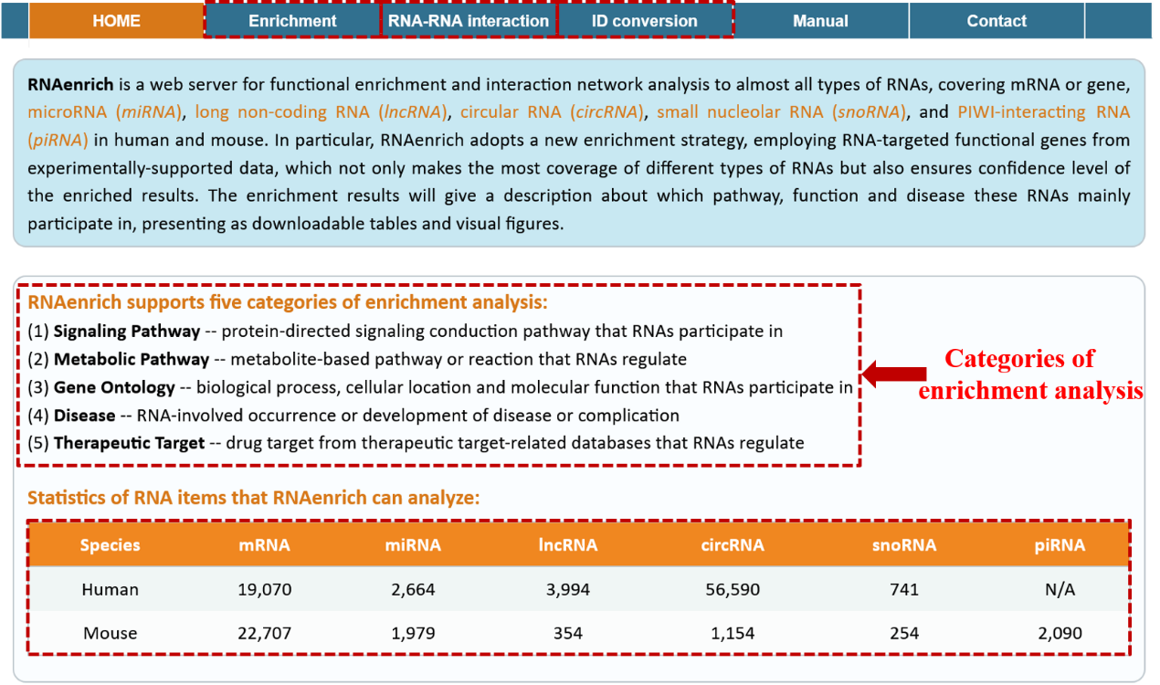 Rnaenrich A Web Server For Non Coding Rna Enrichment