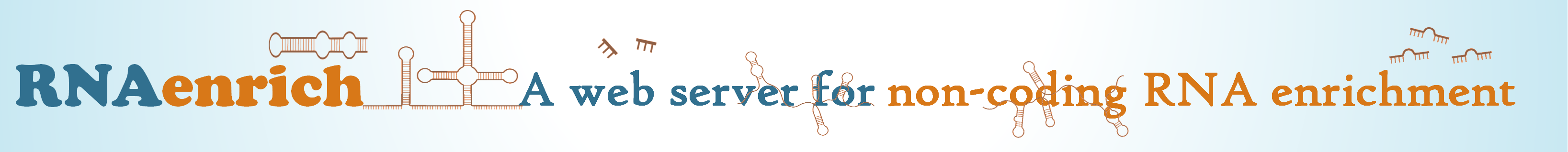 Rnaenrich A Web Server For Non Coding Rna Enrichment