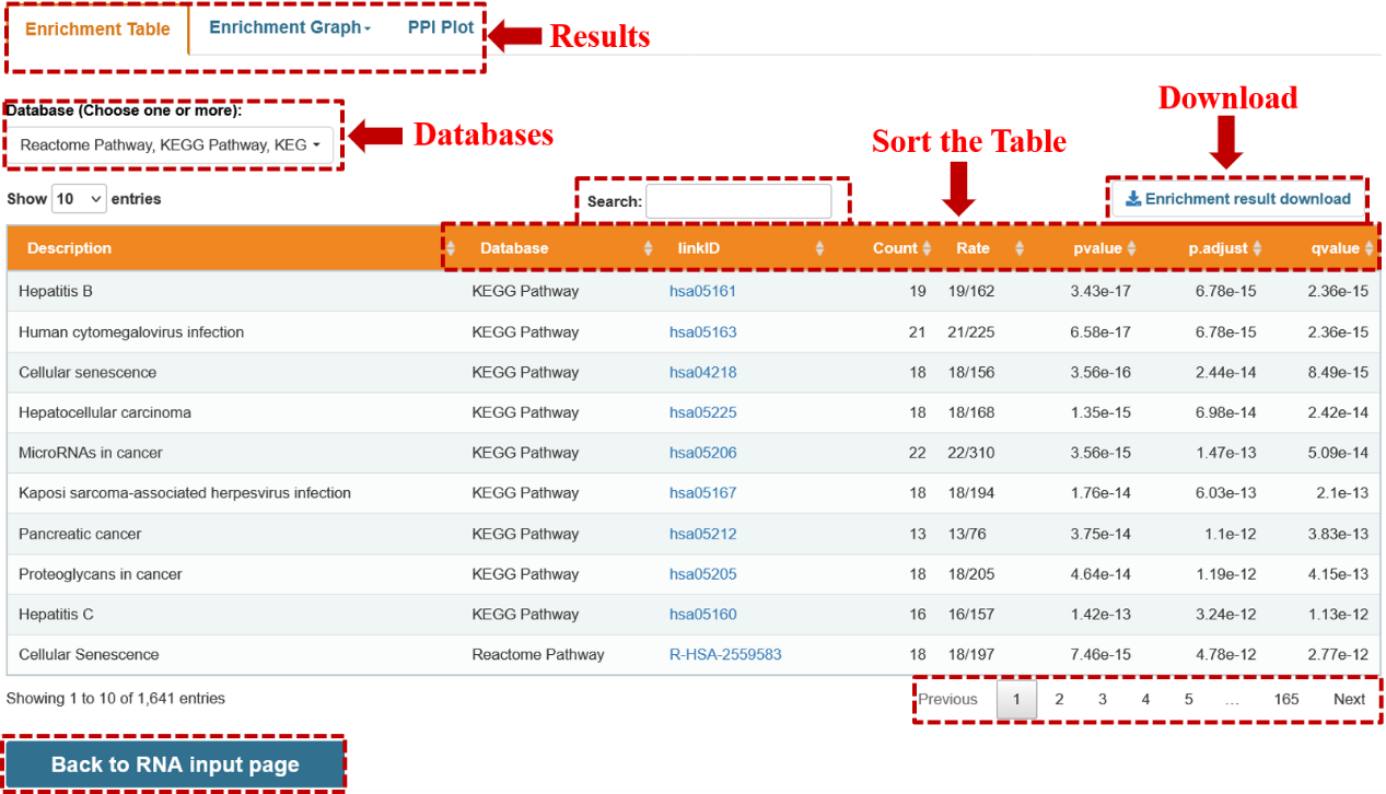 RNAenrich: A web server for non-coding RNA enrichment