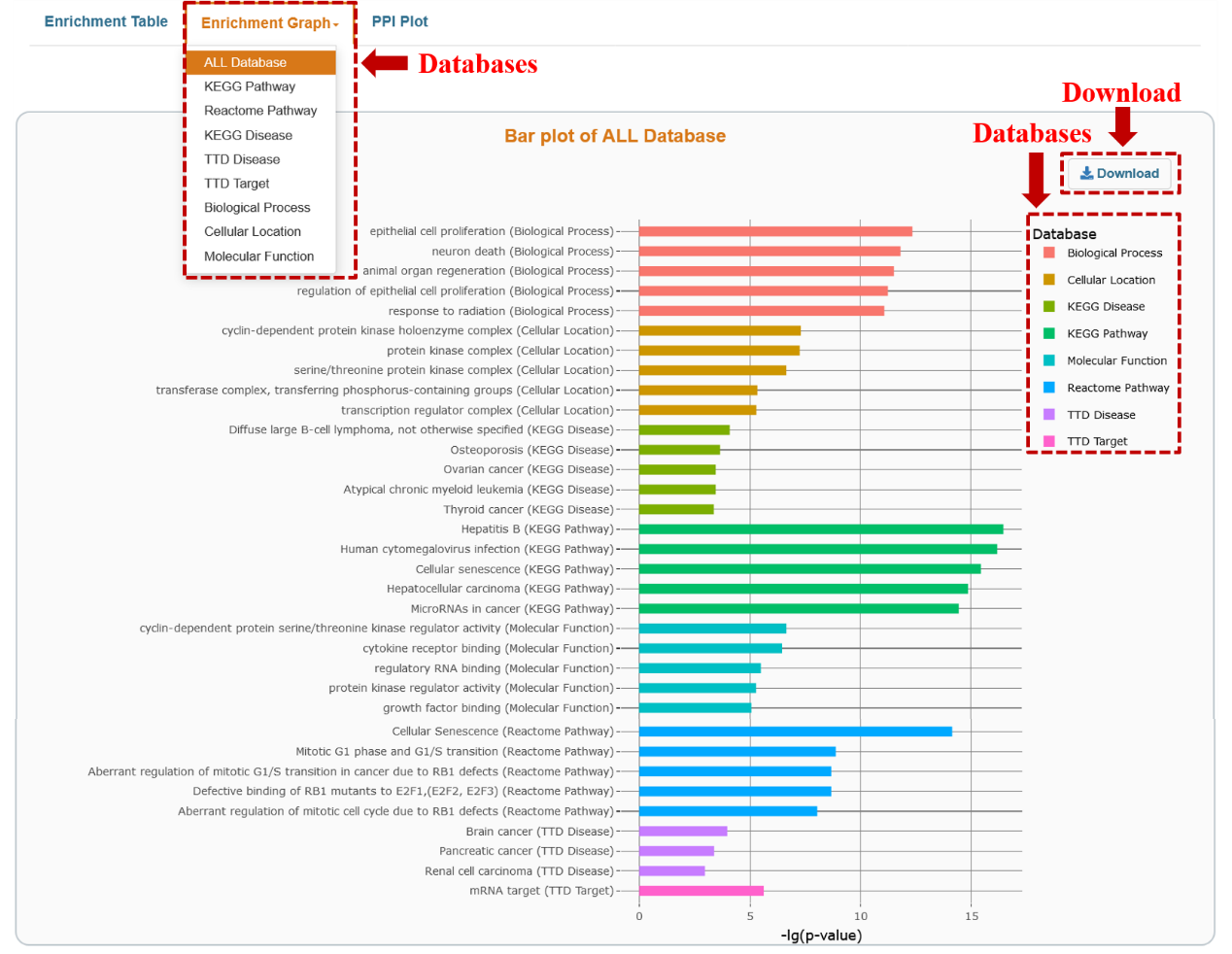 RNAenrich: A web server for non-coding RNA enrichment