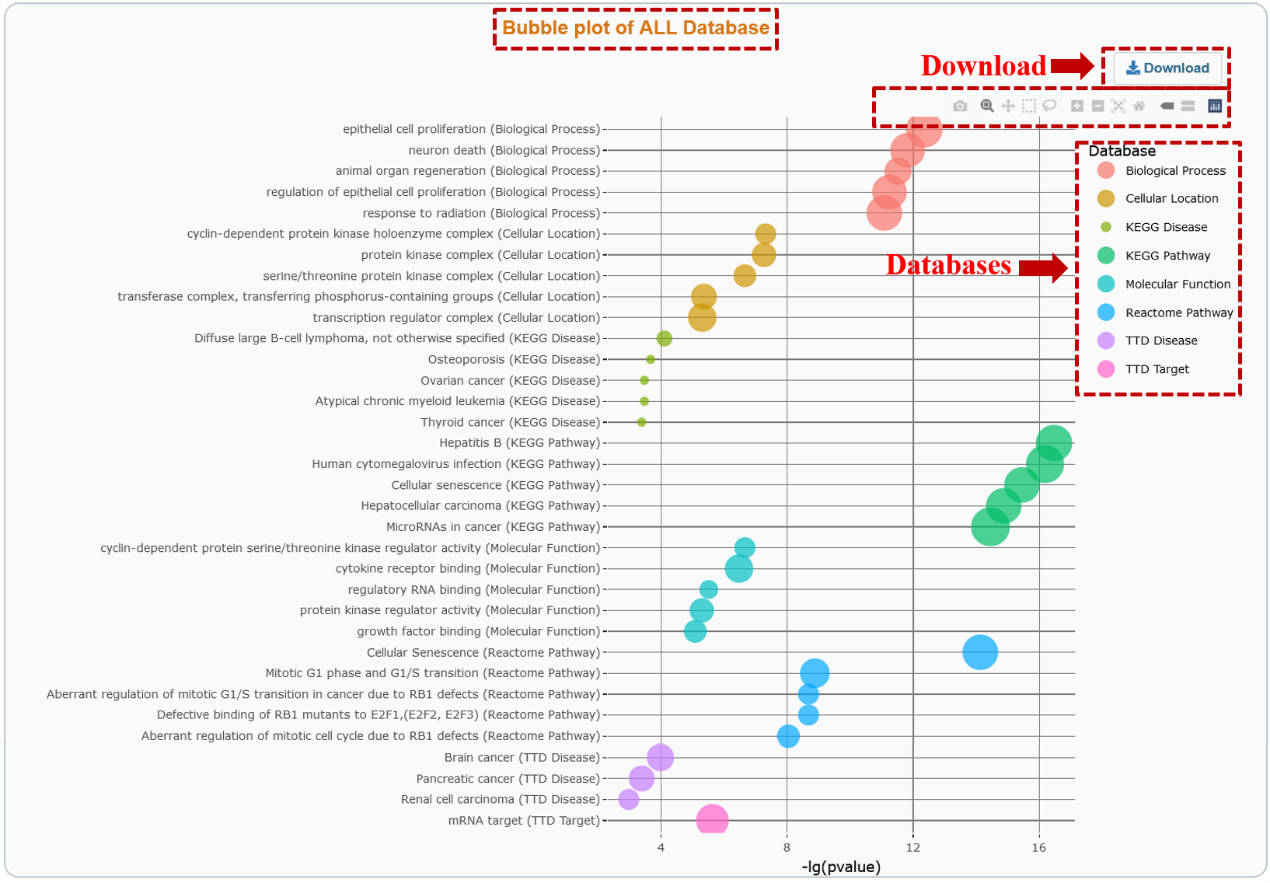 Rnaenrich A Web Server For Non Coding Rna Enrichment