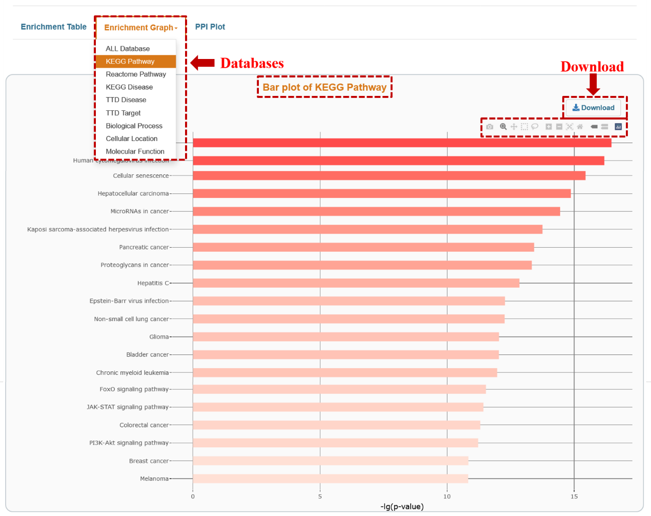 RNAenrich: A web server for non-coding RNA enrichment