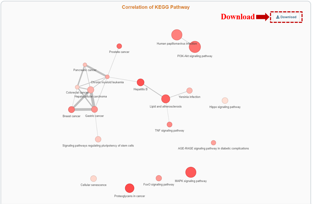 Rnaenrich A Web Server For Non Coding Rna Enrichment