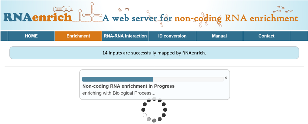 RNAenrich: A web server for non-coding RNA enrichment