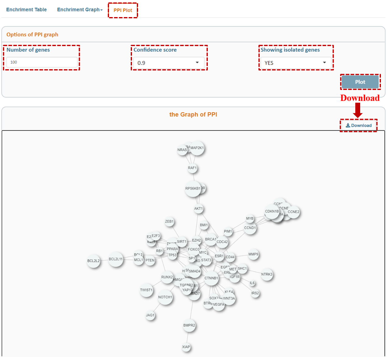 Rnaenrich A Web Server For Non Coding Rna Enrichment